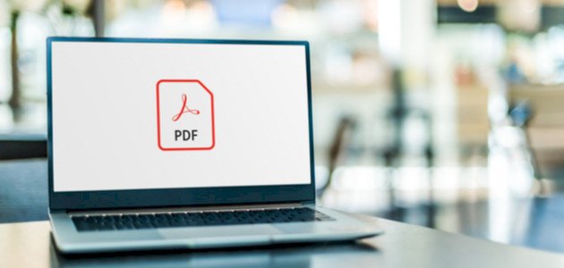 Pdf pdf